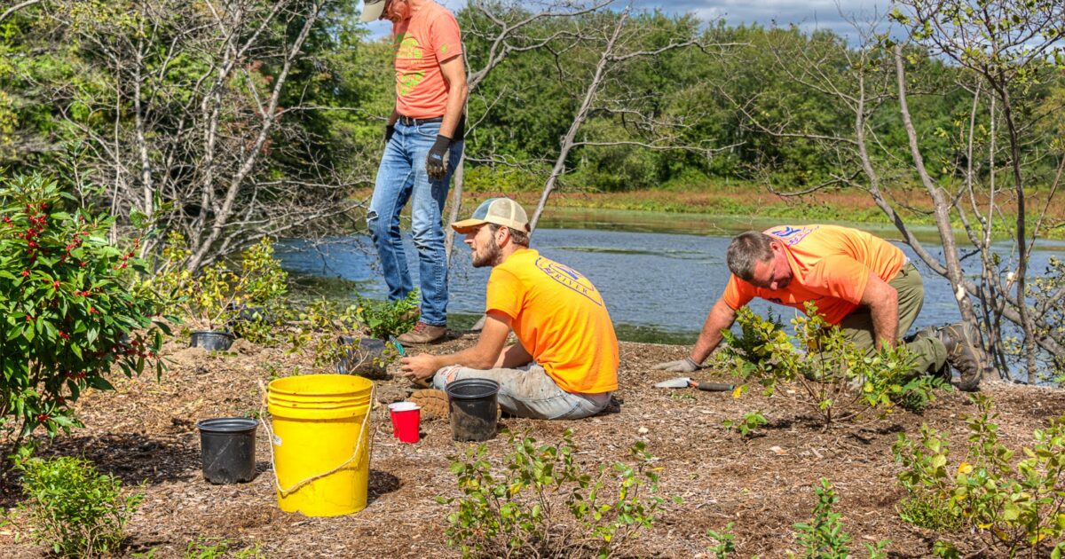 Tree Planting at Cricket Field - Woonasquatucket River Watershed Council