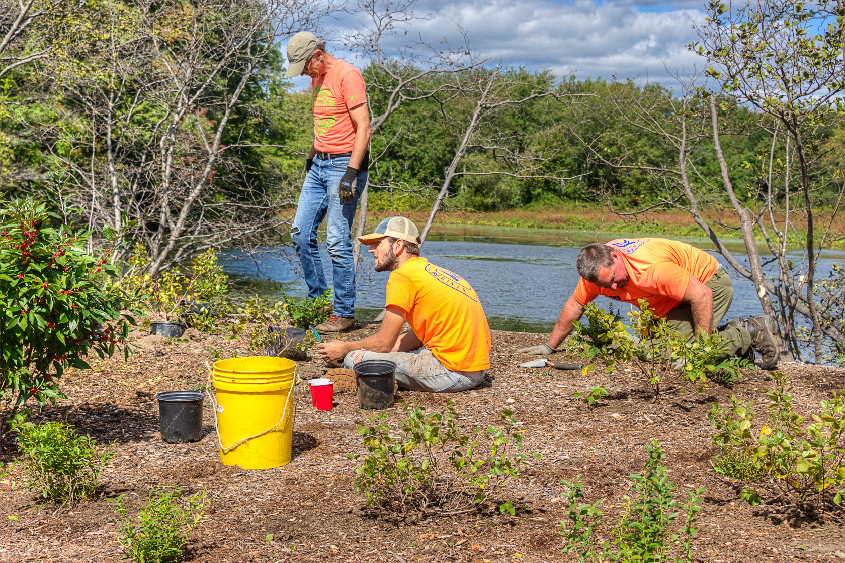 Tree Planting at Cricket Field - Woonasquatucket River Watershed Council